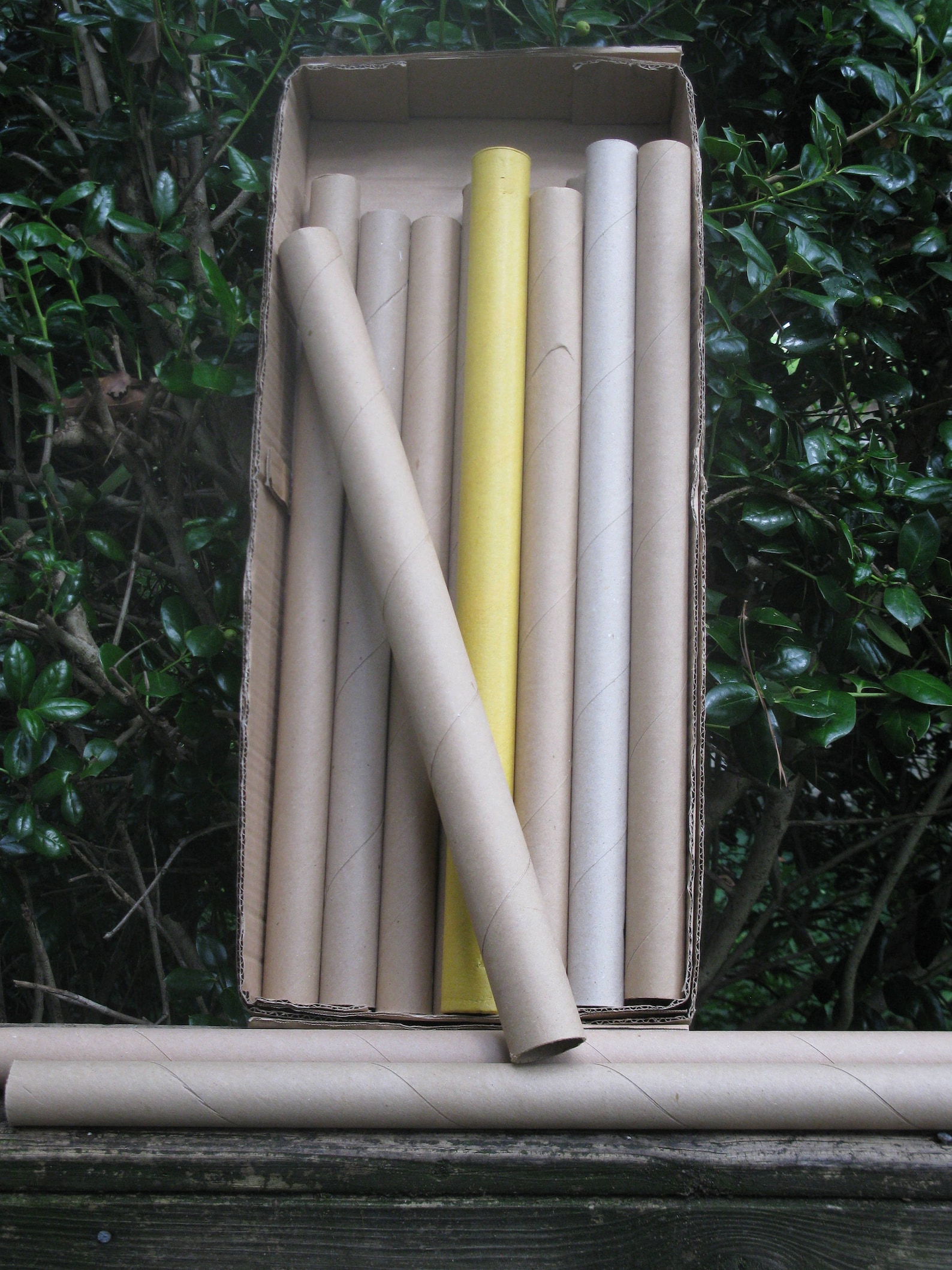 Cardboard Tubes Sturdy Tubes Empty Paper Rolls Craft - Etsy