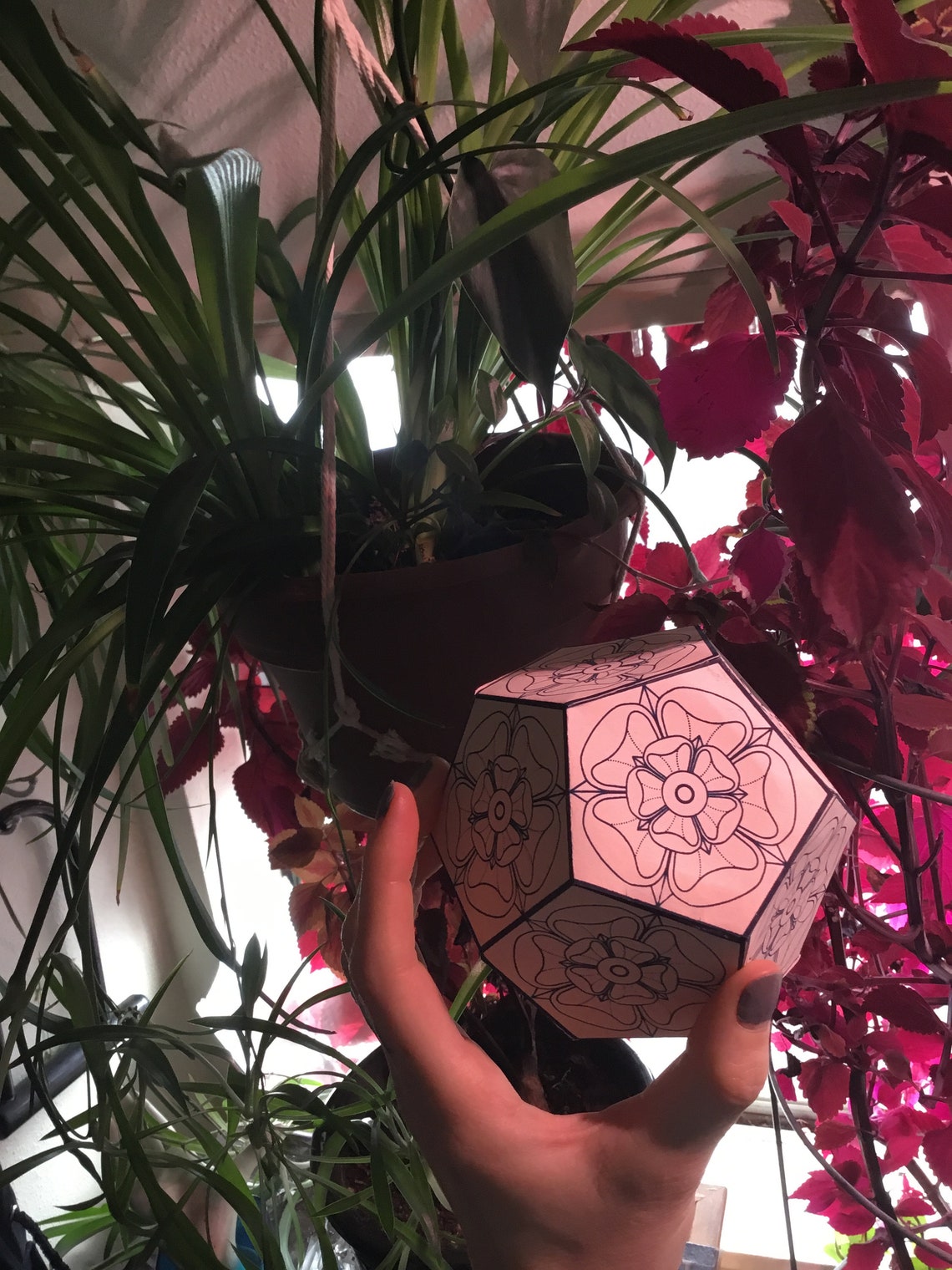 Dodeca // Poster or 3d Craft Project - Etsy Canada