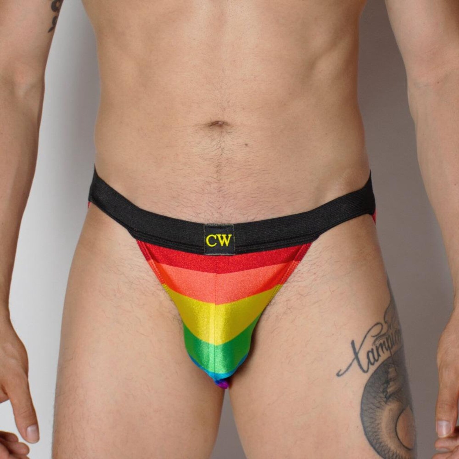 Mens Rainbow Pride Tanga Brief Mens Gay Pride Etsy