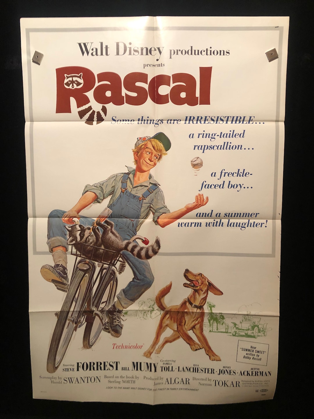Original 1969 Rascal One Sheet Movie Poster, Walt Disney, Bill Mumy ...