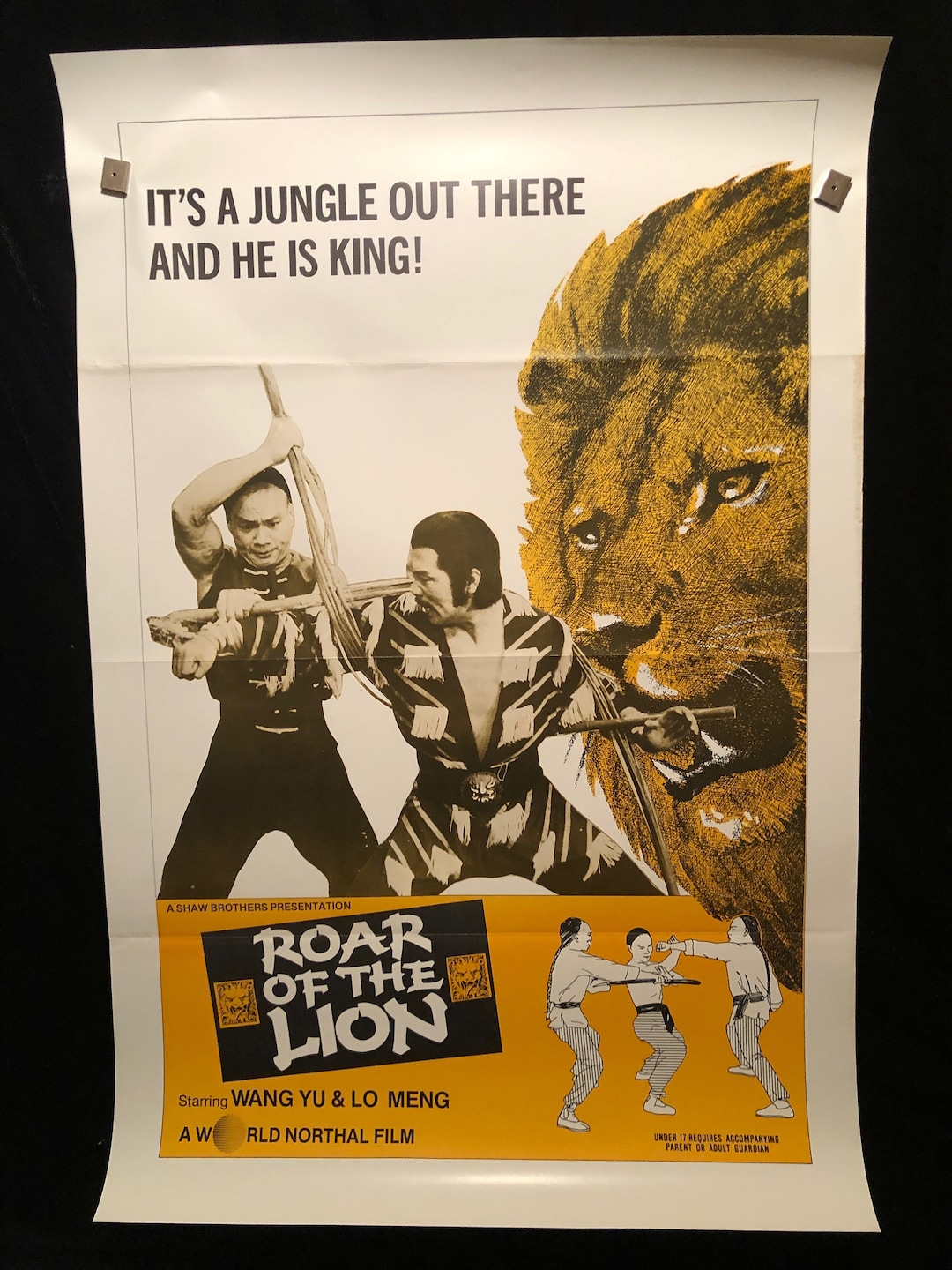 Original 1981 Roar of the Lion One Sheet Movie Poster Martial Arts ...