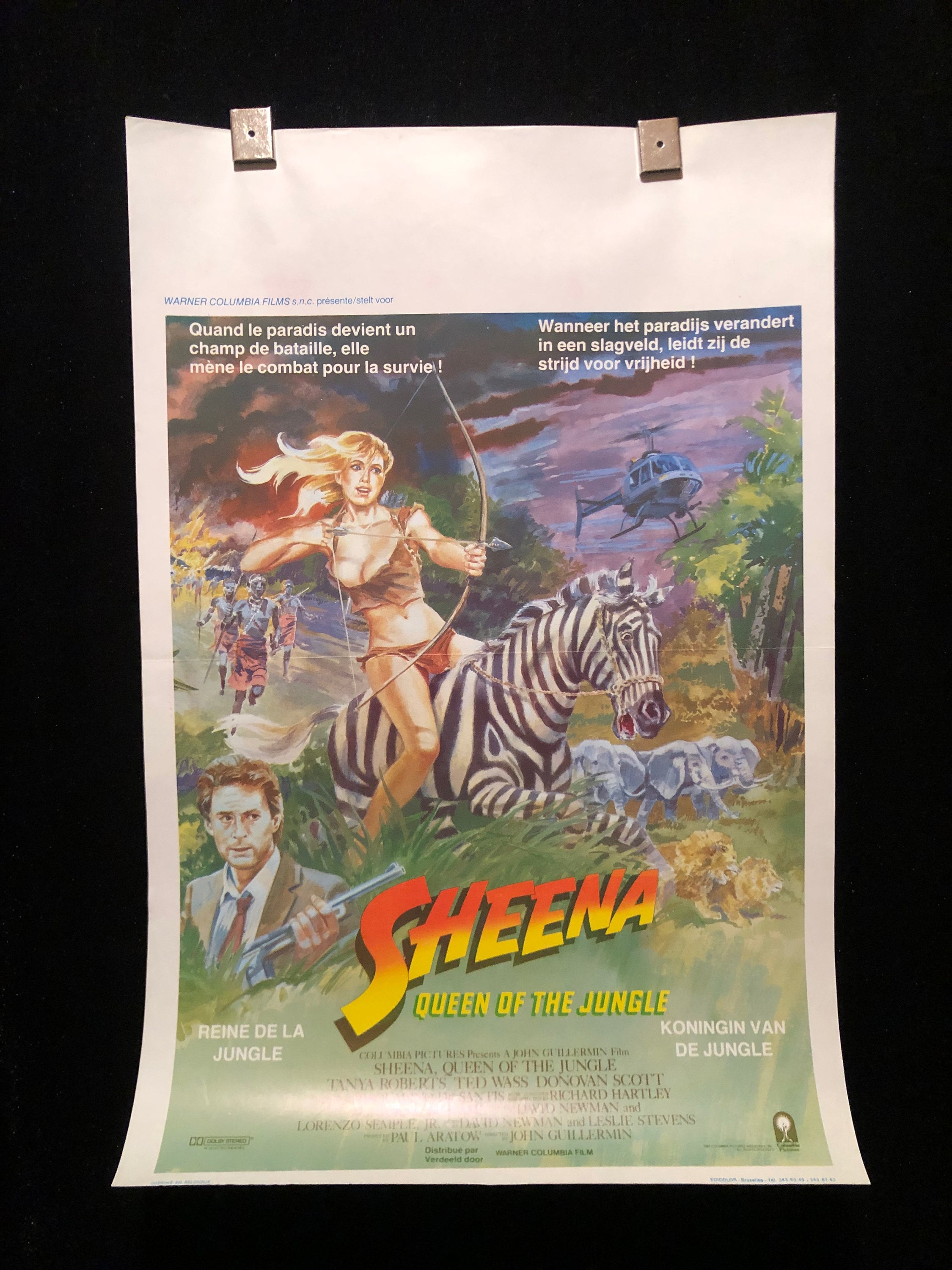 Original 1984 Sheena Queen of the Jungle Belgian Movie Poster - Etsy