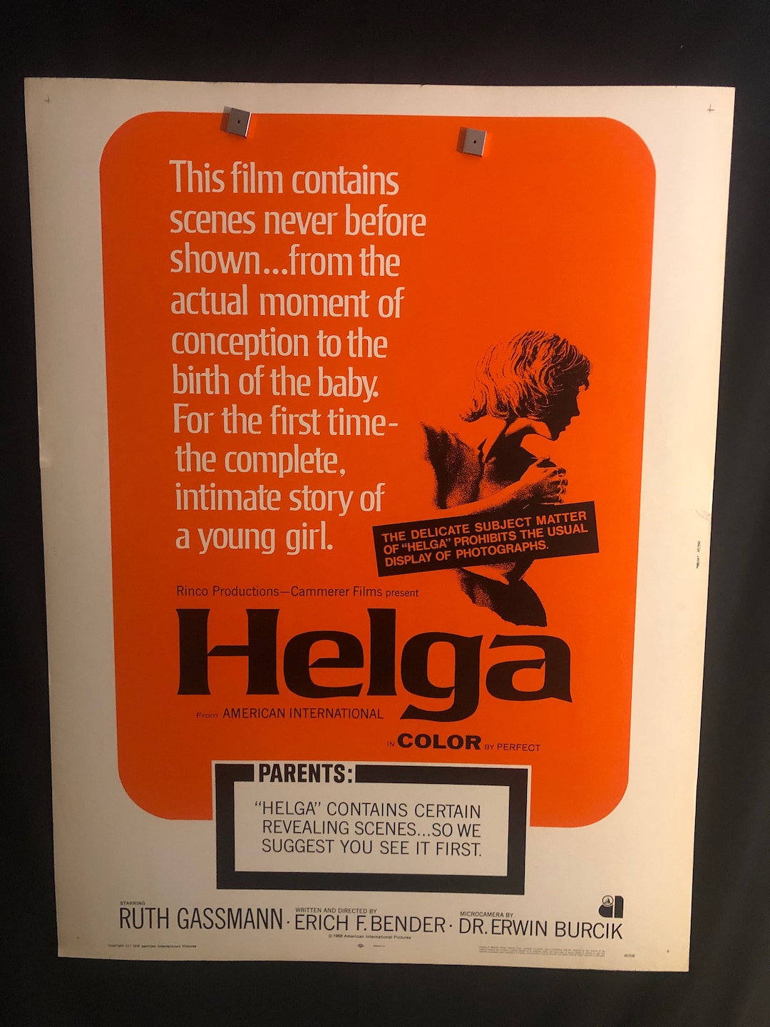 Original 1968 Helga 30x40 Movie Poster Sexploitation Classic - Etsy