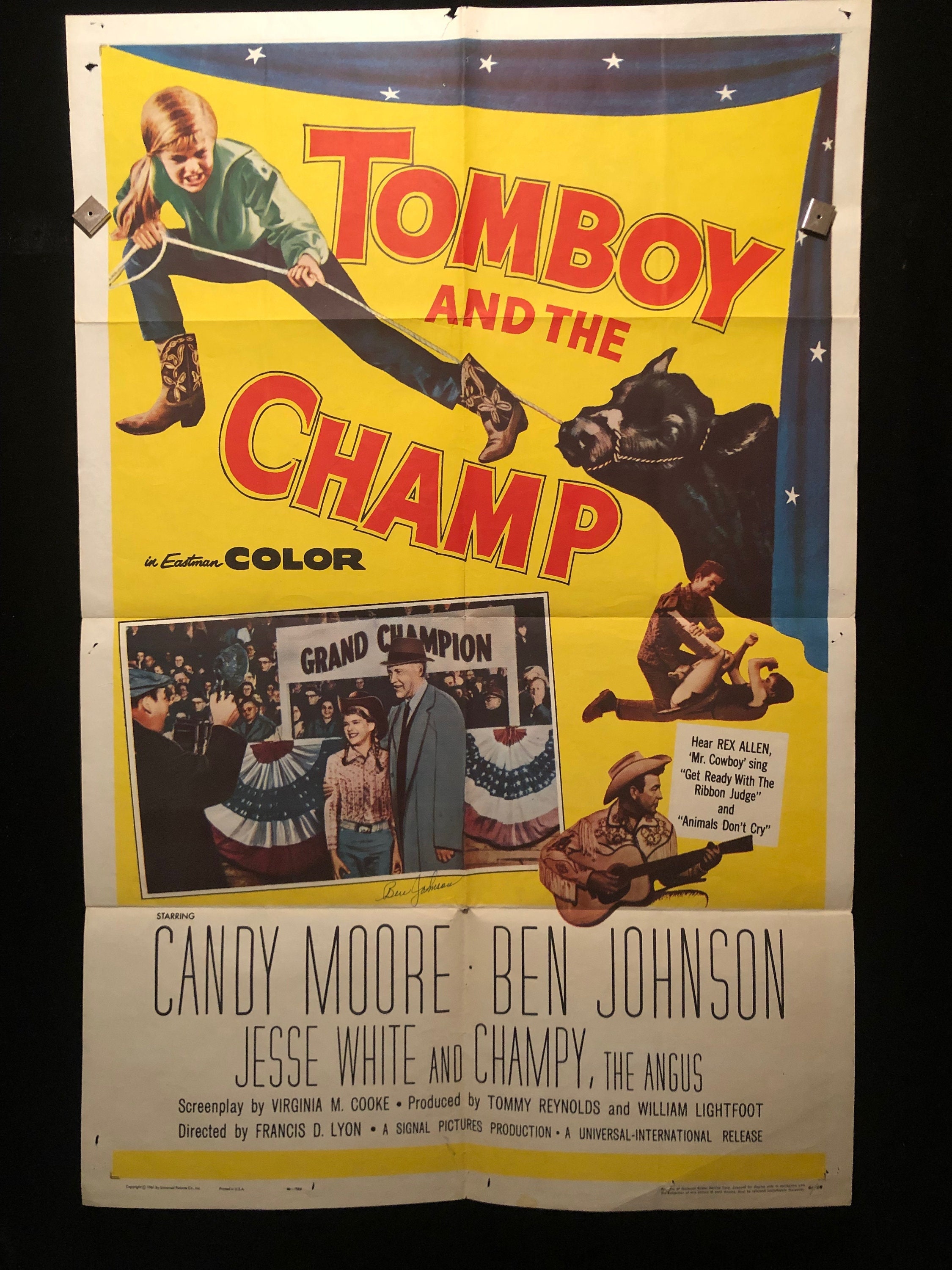 Original 1961 Tomboy and the Champ One Sheet Movie Poster Cow - Etsy Original 1961 Tomboy and the Champ One Sheet Movie Poster Cow - Etsy