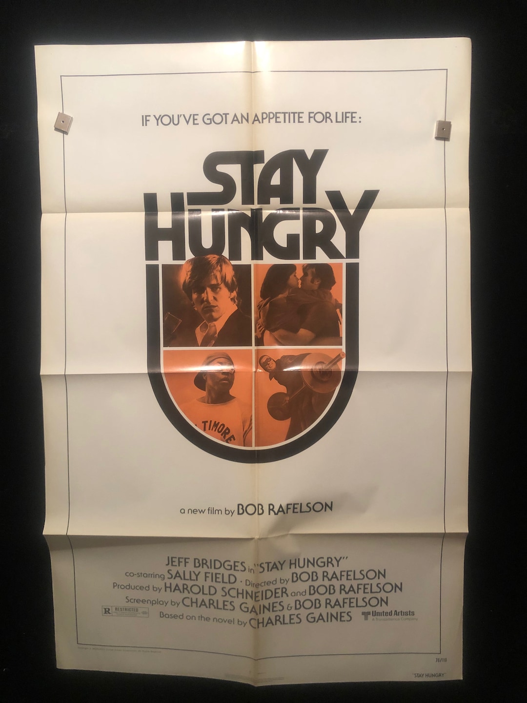 Original 1976 Stay Hungry One Sheet Movie Poster Arnold Schwarzenegger, Mr Universe, Jeff ...