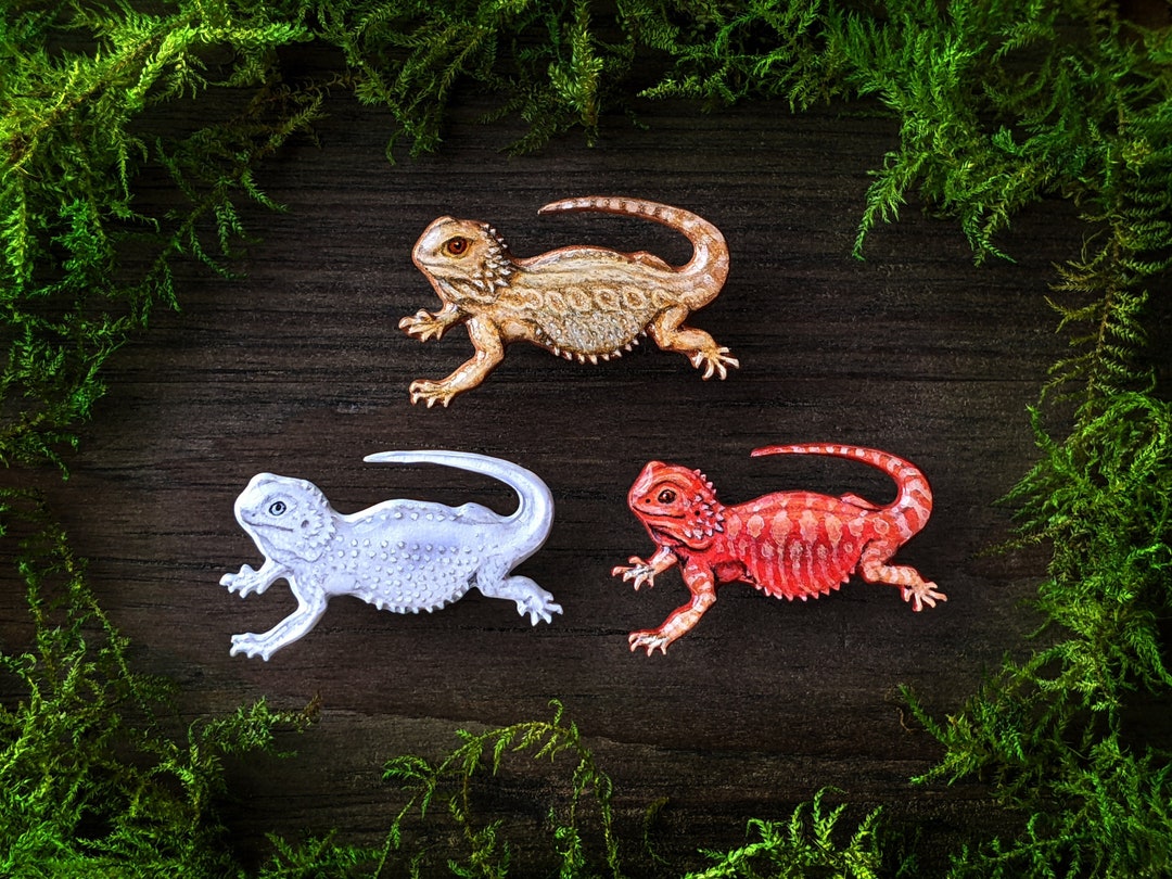 Bearded Dragon Lapel Pins - Etsy