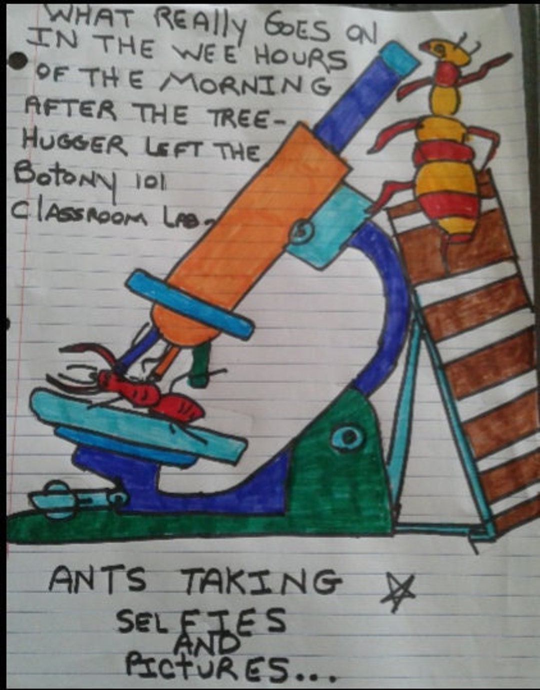 Ants Wait and Where Do You Think You're Going Young Man Asked the Tree ...