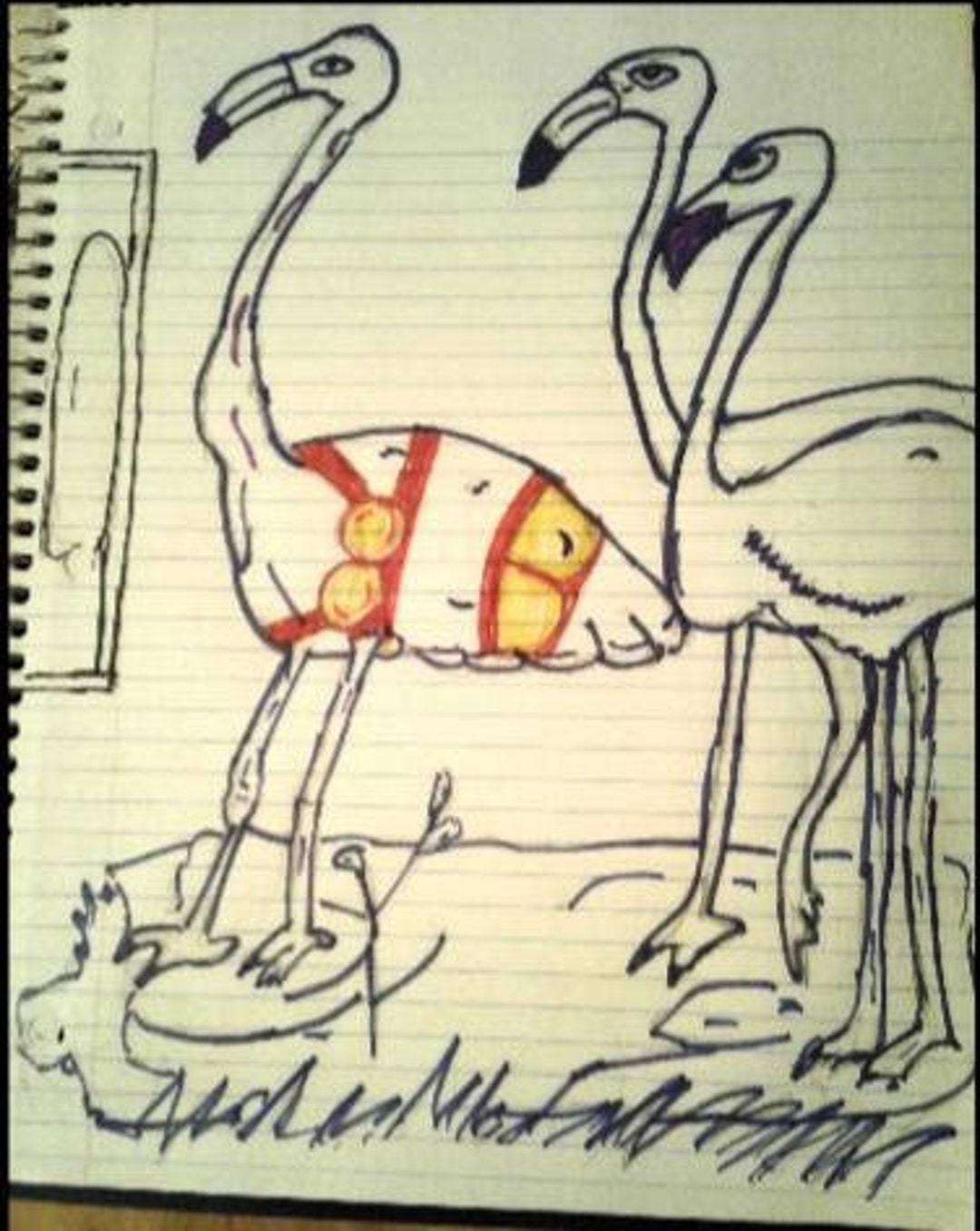 Flan Trying Out A Bikini Oh...i Don't Know Girls I Mean Does It Look ...