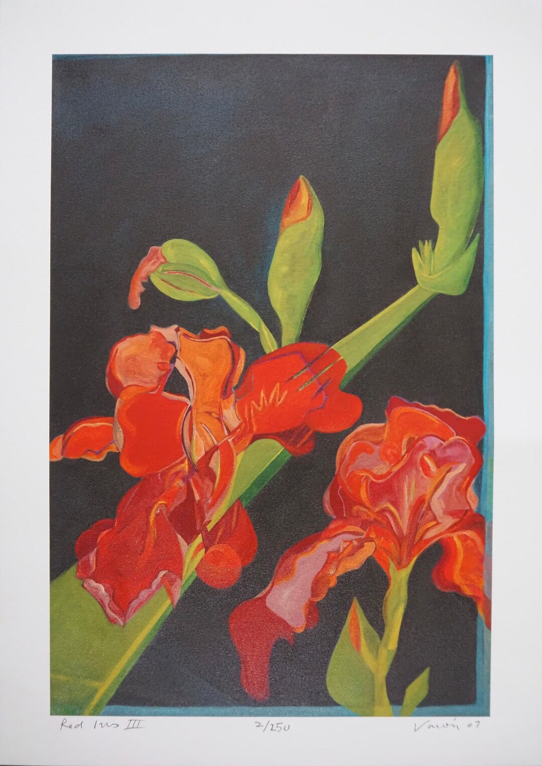 Red Iris III - a High Quality Giclée Print of an Expressive Oil ...