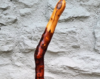 Blackthorn Walking Stick | Etsy
