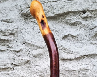Blackthorn Walking Stick | Etsy