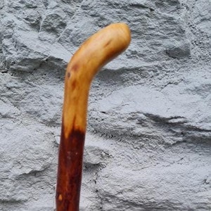 Natural Wood Handmade Walking Stick - Etsy