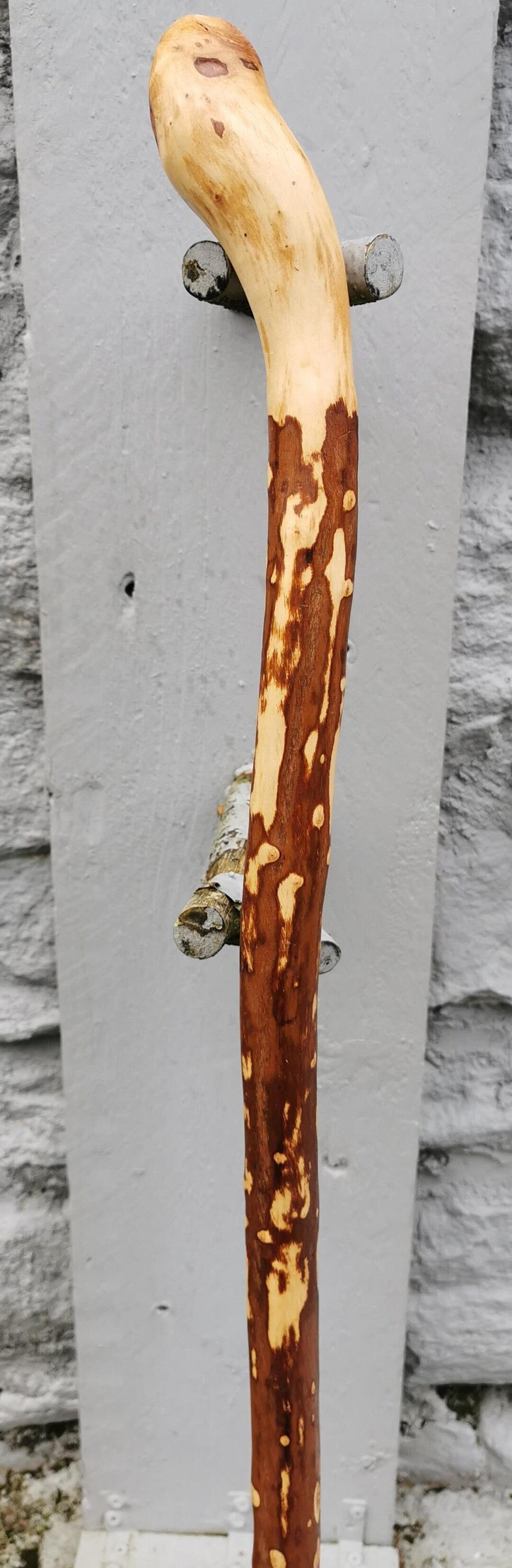 Rhododendron Walking Stick - Etsy