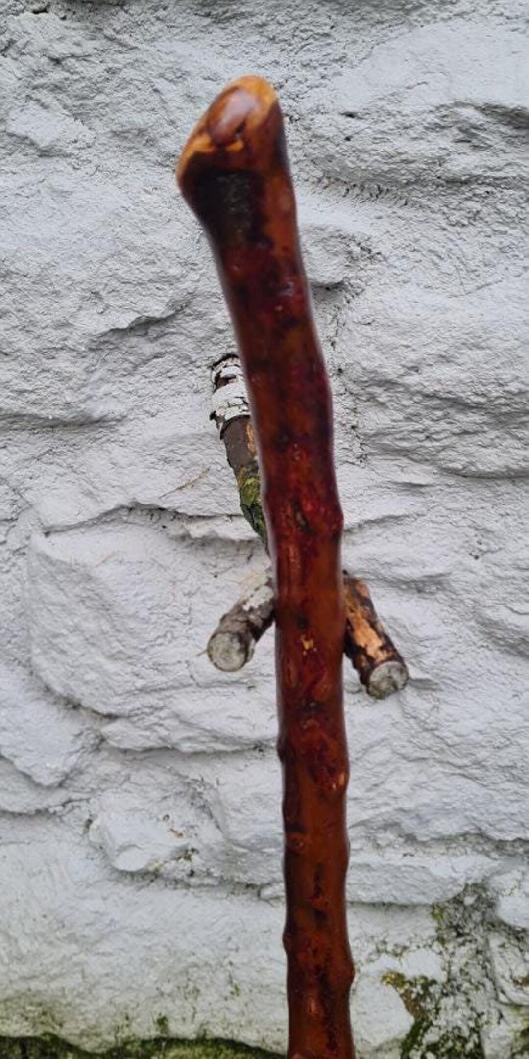 Blackthorn Walking Stick - Etsy