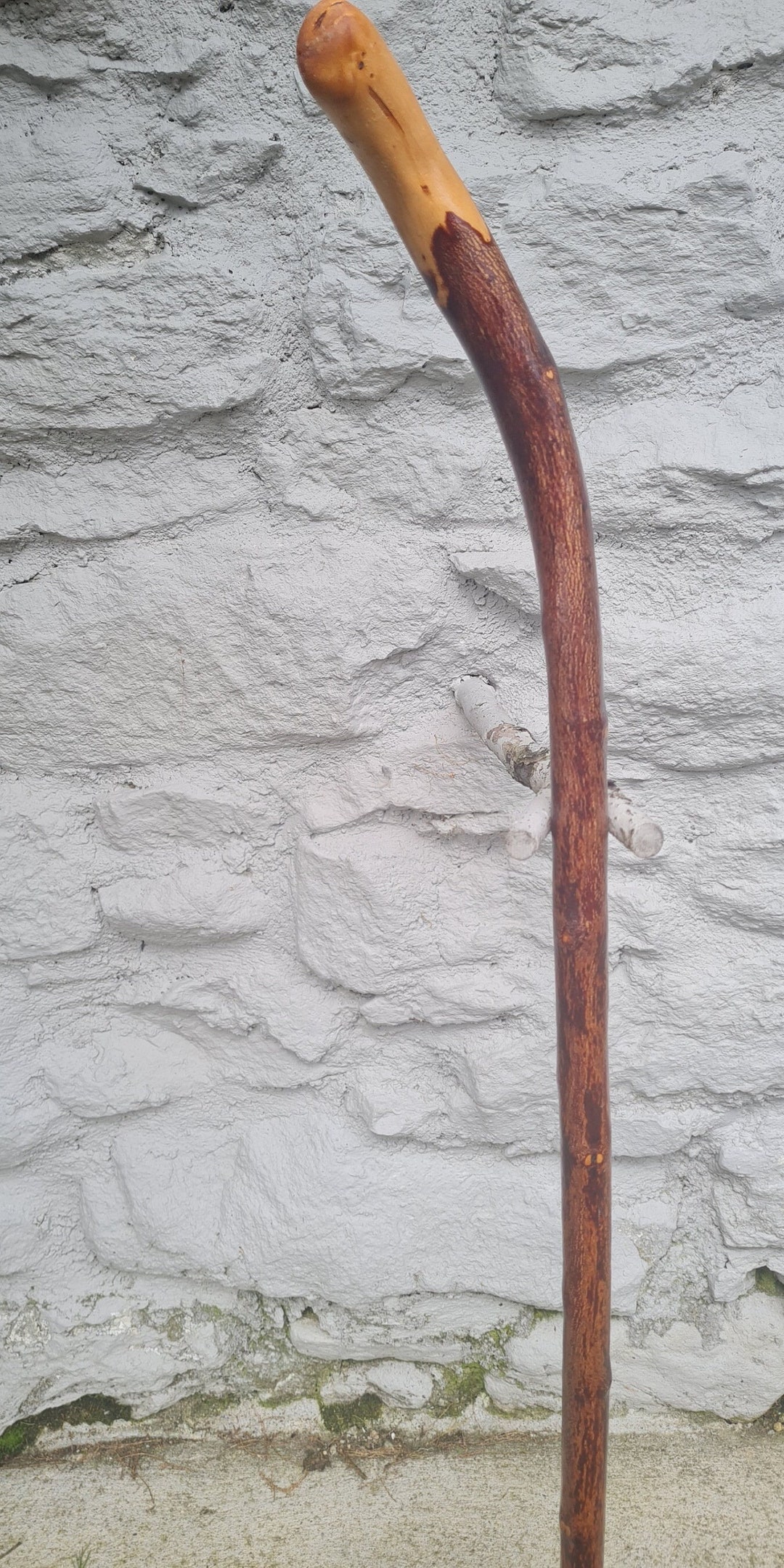 Handcrafted Birch Walking Stick - Etsy
