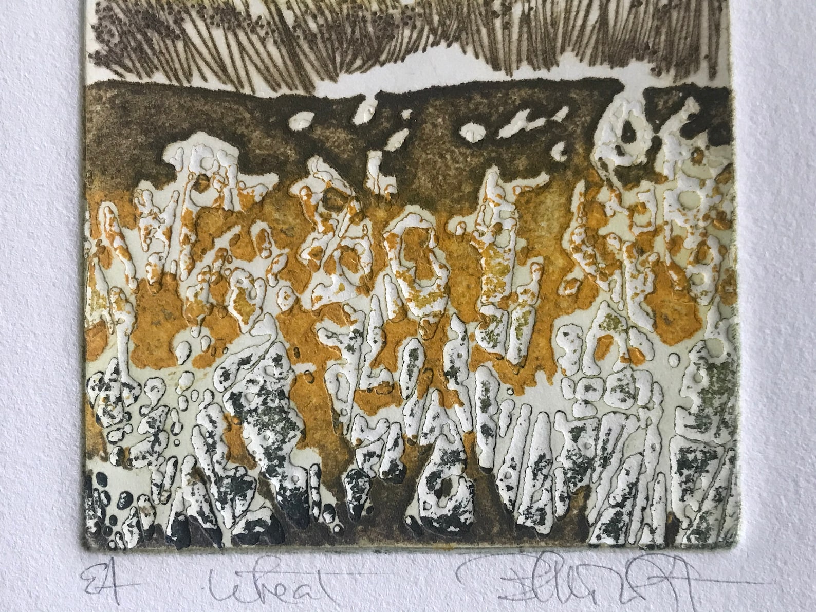 Etching and Aquatint by Sheila BENOW 1970s Landscape | Etsy