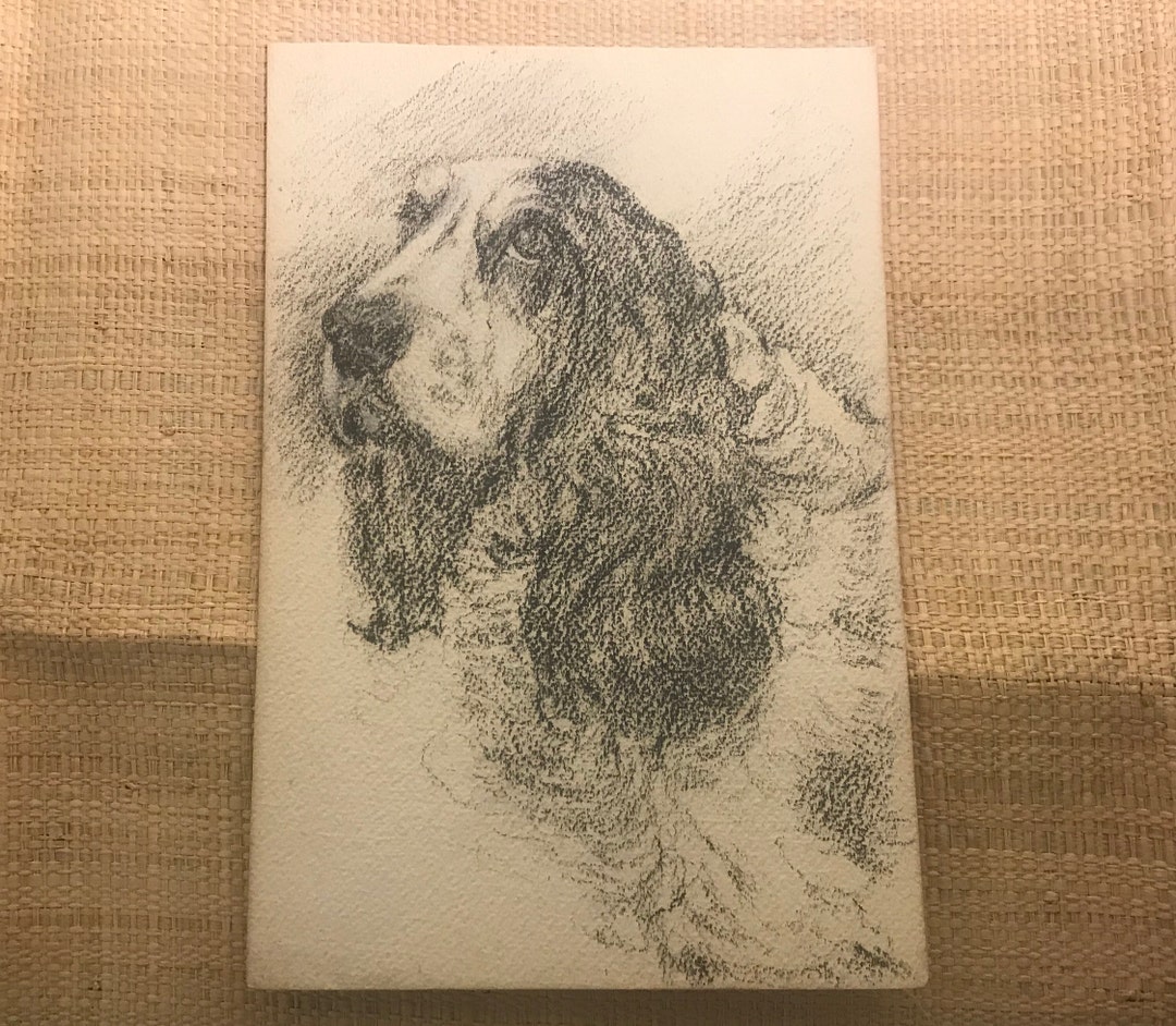 Cocker Spaniel Drawing Pencil Drawing Dog Drawing - Etsy