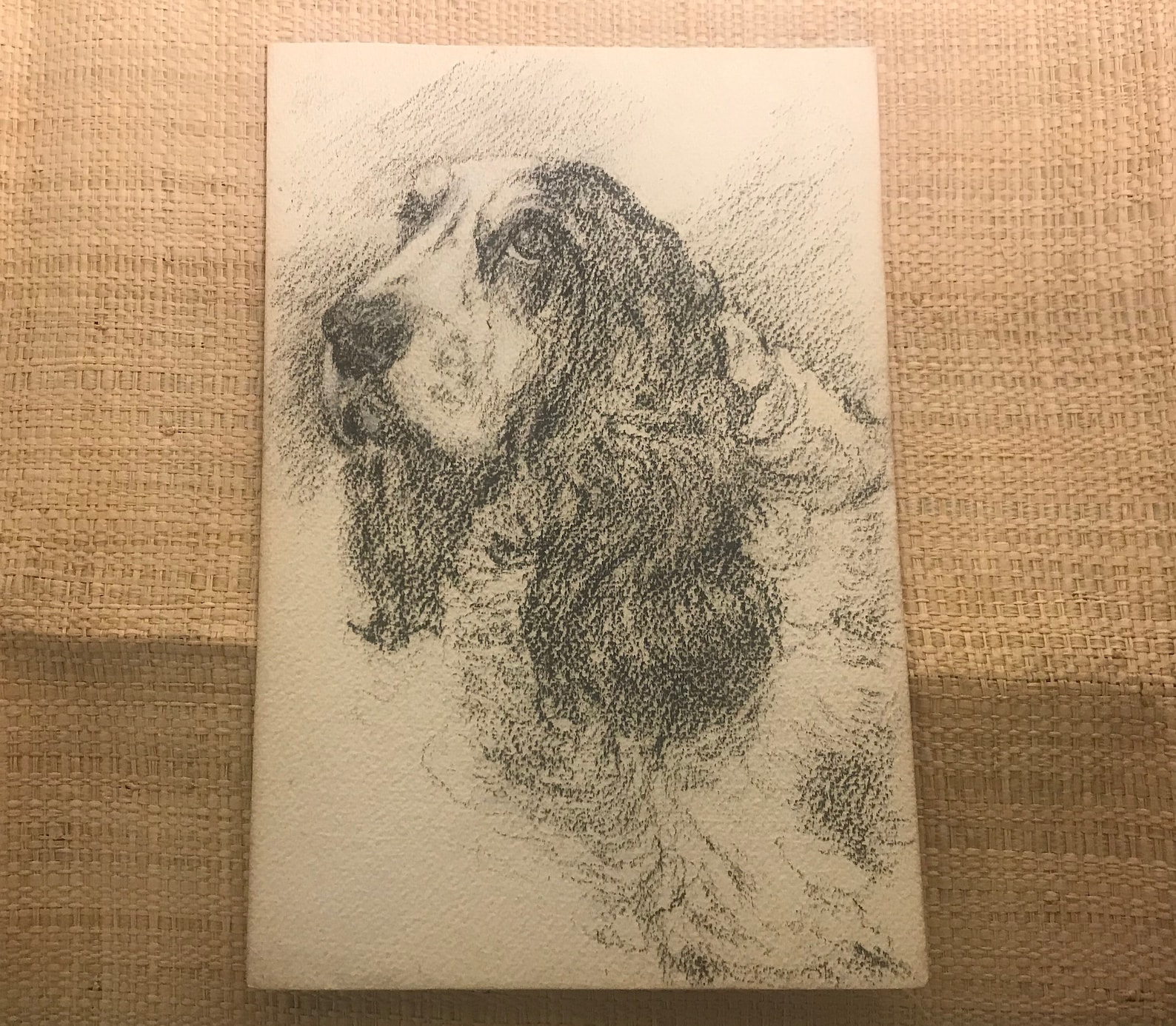 Cocker Spaniel Drawing Pencil Drawing Dog Drawing - Etsy