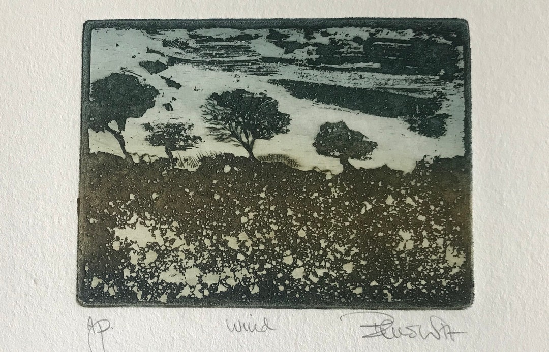 Sheila Benow 1970s Etching and Aquatint, Landscape - Etsy