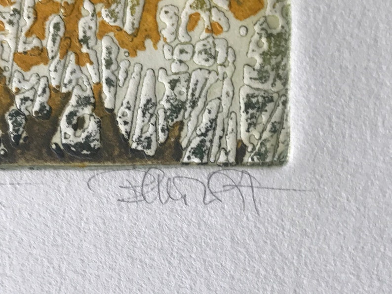 Etching and Aquatint by Sheila BENOW 1970s Landscape | Etsy