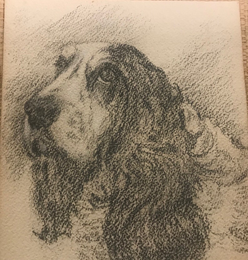 Cocker Spaniel Drawing Pencil Drawing Dog Drawing - Etsy
