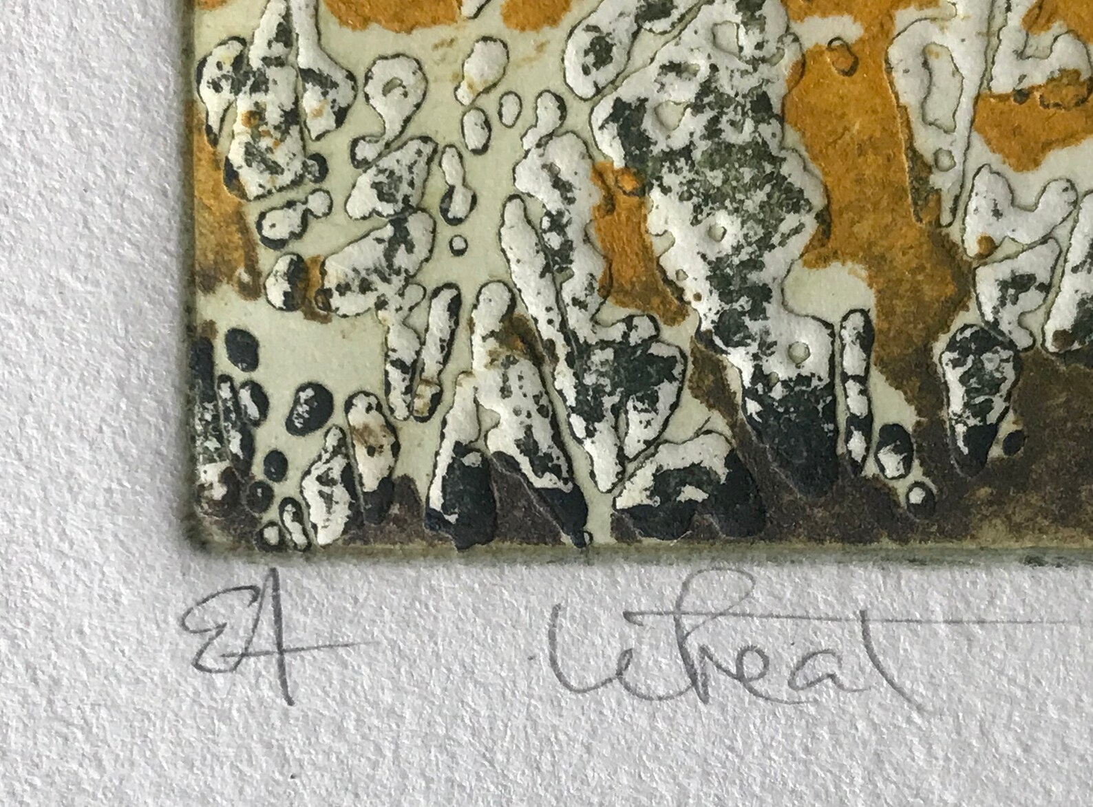 Etching and Aquatint by Sheila BENOW 1970s Landscape | Etsy