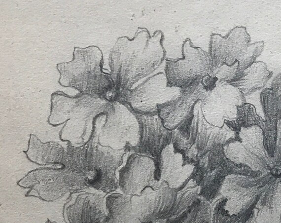 Realistic Sun Pencil Drawing