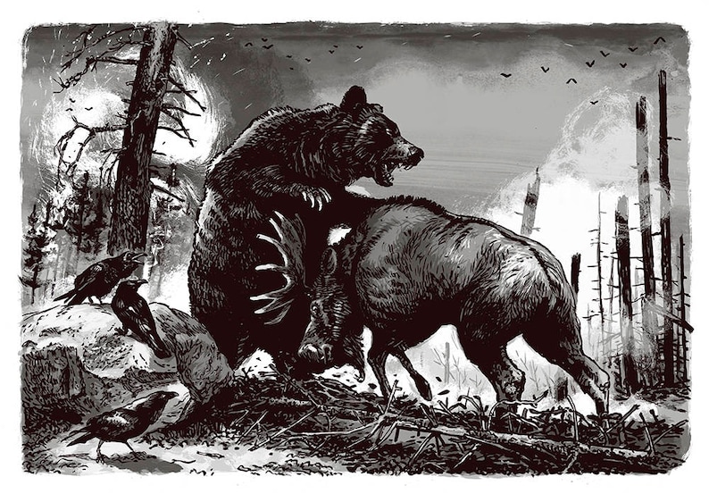 Poster Bear Moose Fight Lost Youth Animal Forest North Wilderness Fire ...