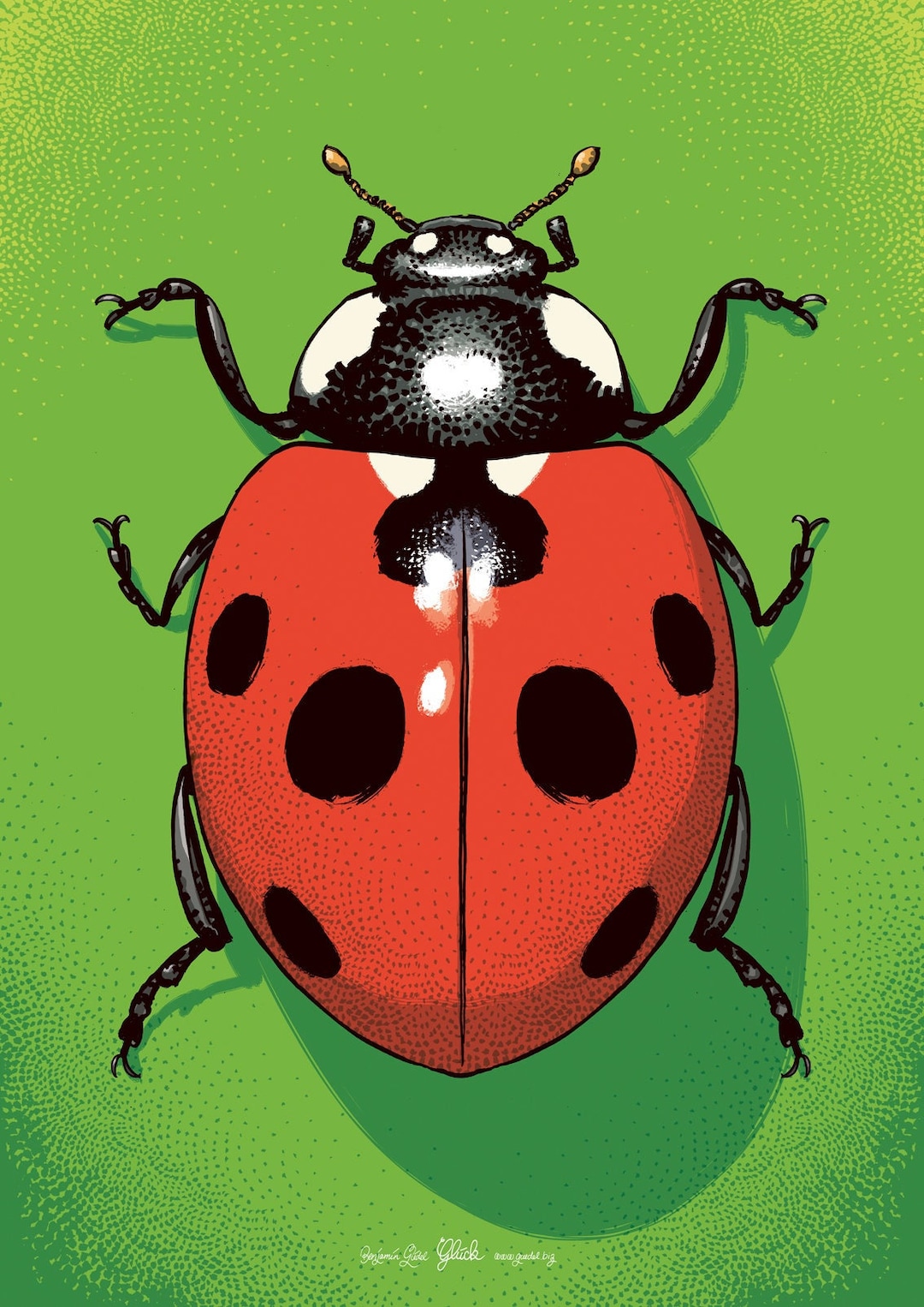 Luck Ladybug Poster Lucky Charm Joy Points Summer Insect Beetle Garden ...
