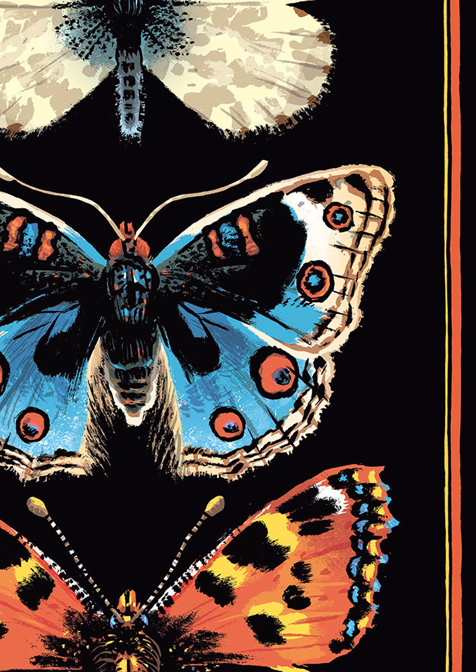 Butterflies Moths Hawkmoths Poster Illustration Collection Death Hawk ...