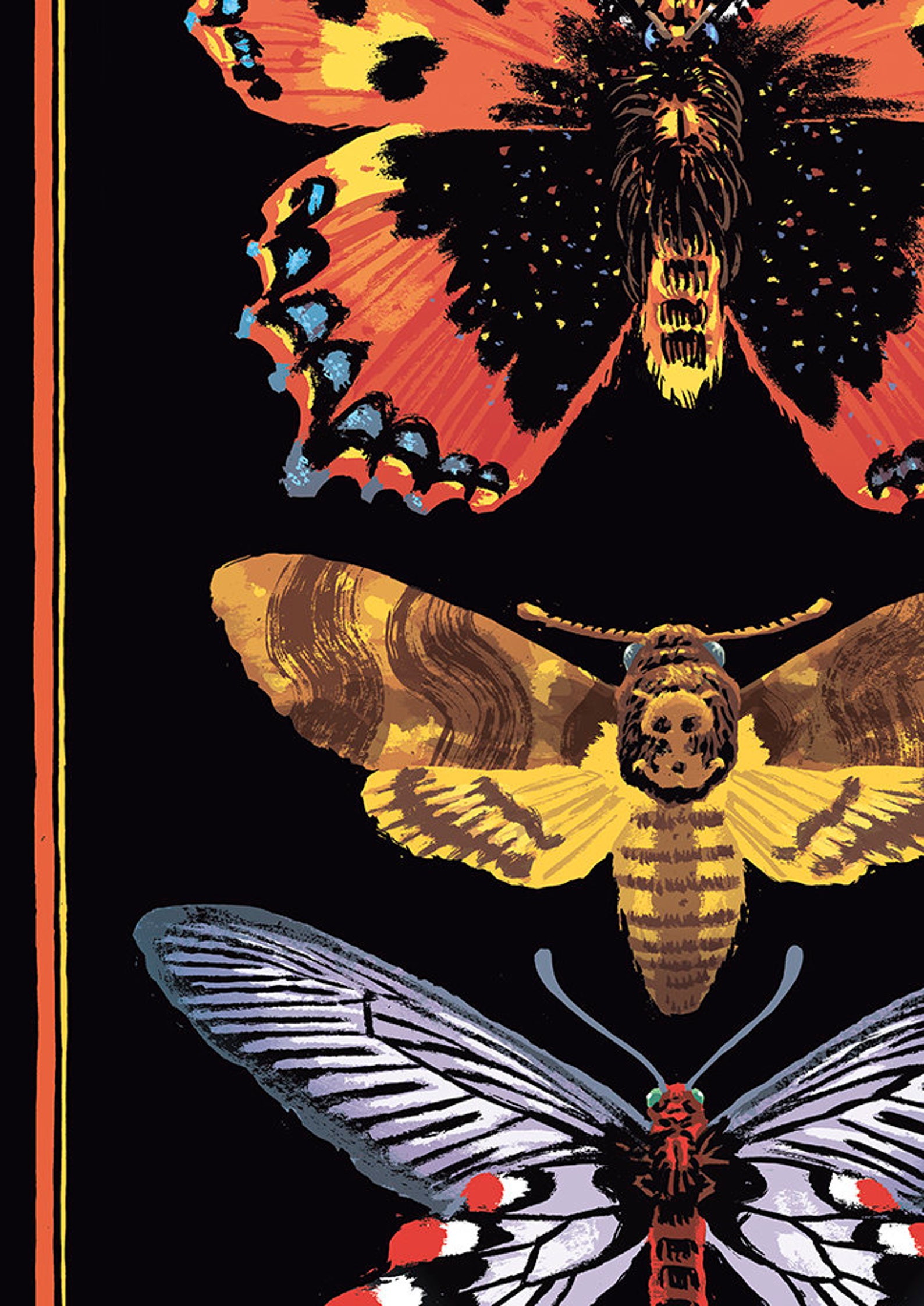 Butterflies Moths Hawkmoths Poster Illustration Collection Death Hawk ...