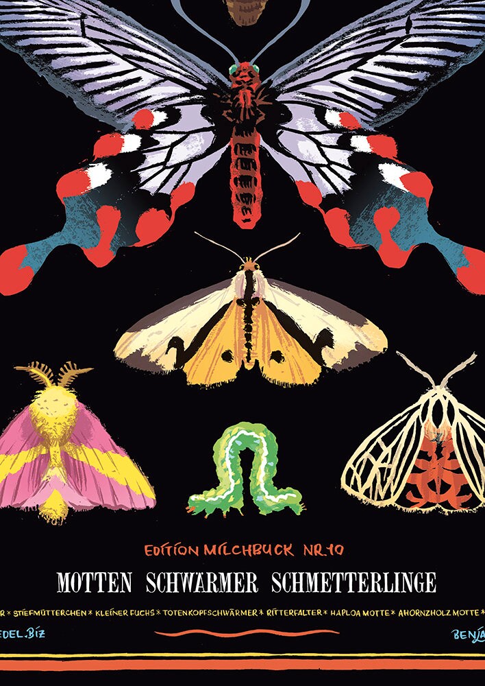 Butterflies Moths Hawkmoths Poster Illustration Collection Death Hawk ...