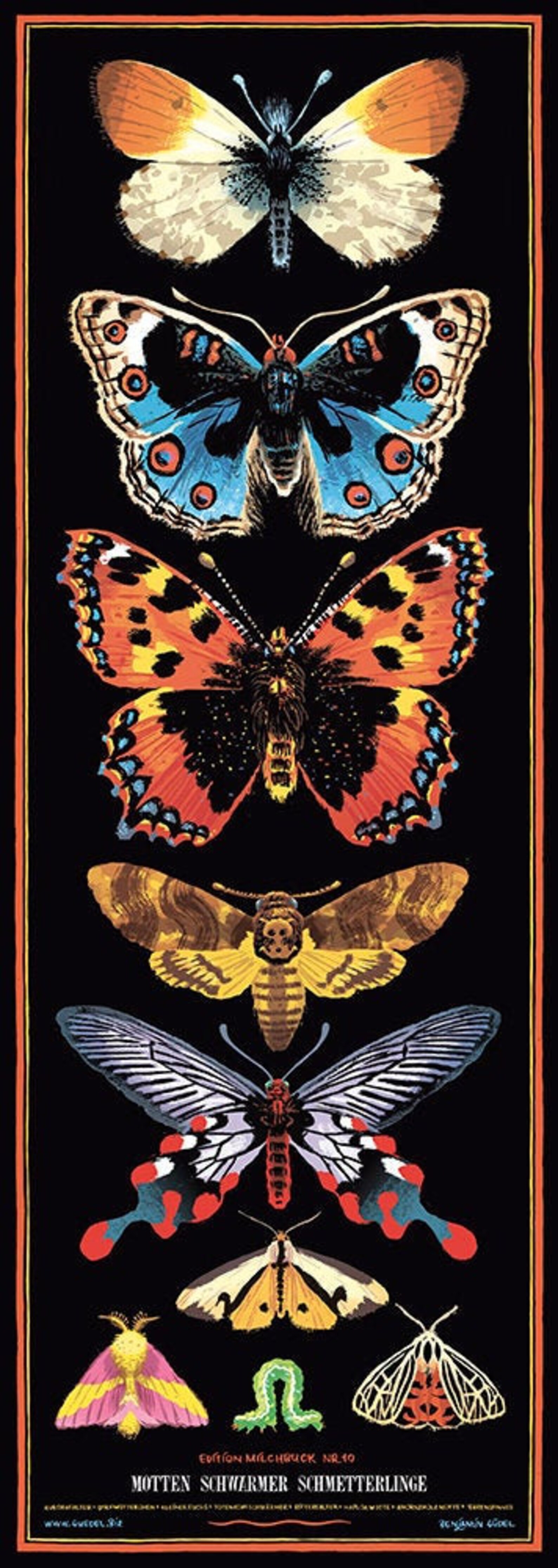 Butterflies Moths Hawkmoths Poster Illustration Collection Death Hawk ...