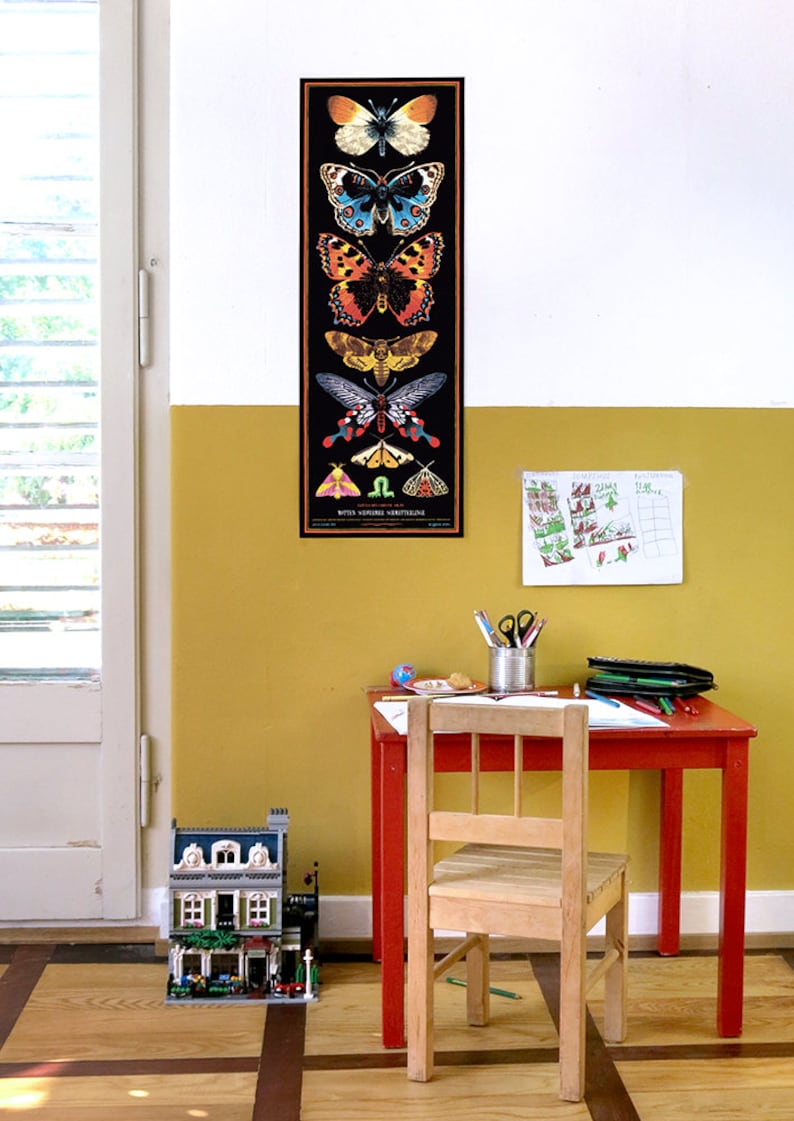 Butterflies Moths Hawkmoths Poster Illustration Collection Death Hawk ...