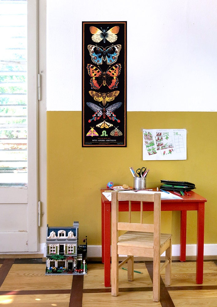 Butterflies Moths Hawkmoths Poster Illustration Collection Death Hawk ...