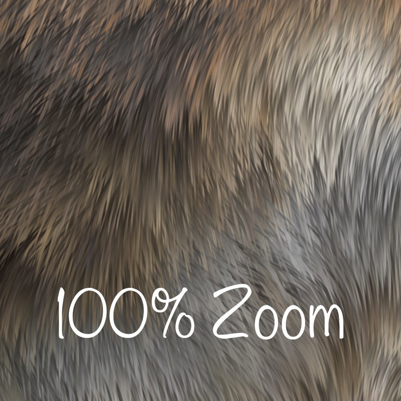 10 Seamless Digital Animal Fur Textures Printing Papers. 10 X - Etsy