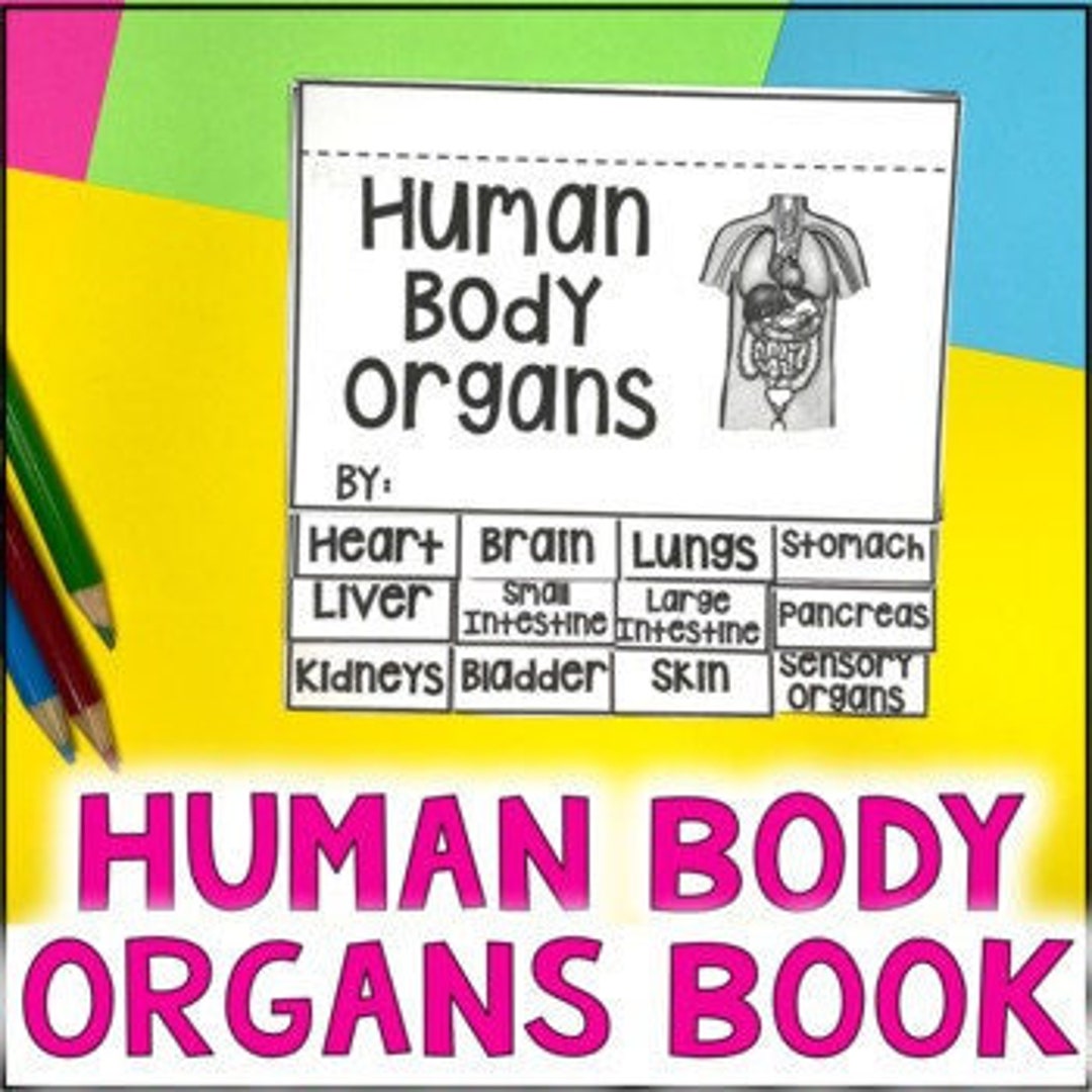 Human Body Organs Activity - the Human Body Flipbook - Life Science - Etsy