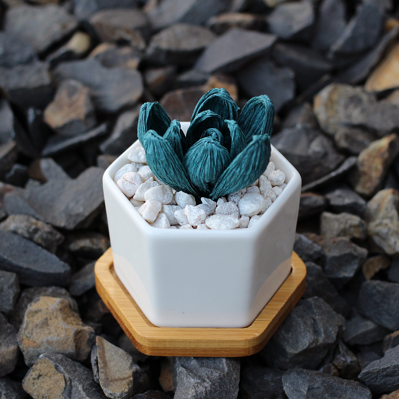 Paper Succulent Kit Includes Pot Gravel Choose Your Own - Etsy