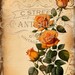 Digital Kit - Roses and Paper - Instant Download - Original Art - 48 ...