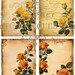 Digital Kit Roses and Paper Instant Download Original Art 48 Images Cut ...