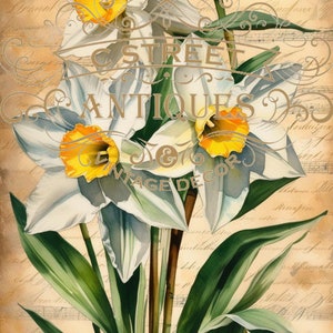 Digital Kit - Tulips, Daffodils, and Paper - Instant Download ...
