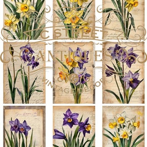 Digital Kit - Tulips, Daffodils, and Paper - Instant Download ...
