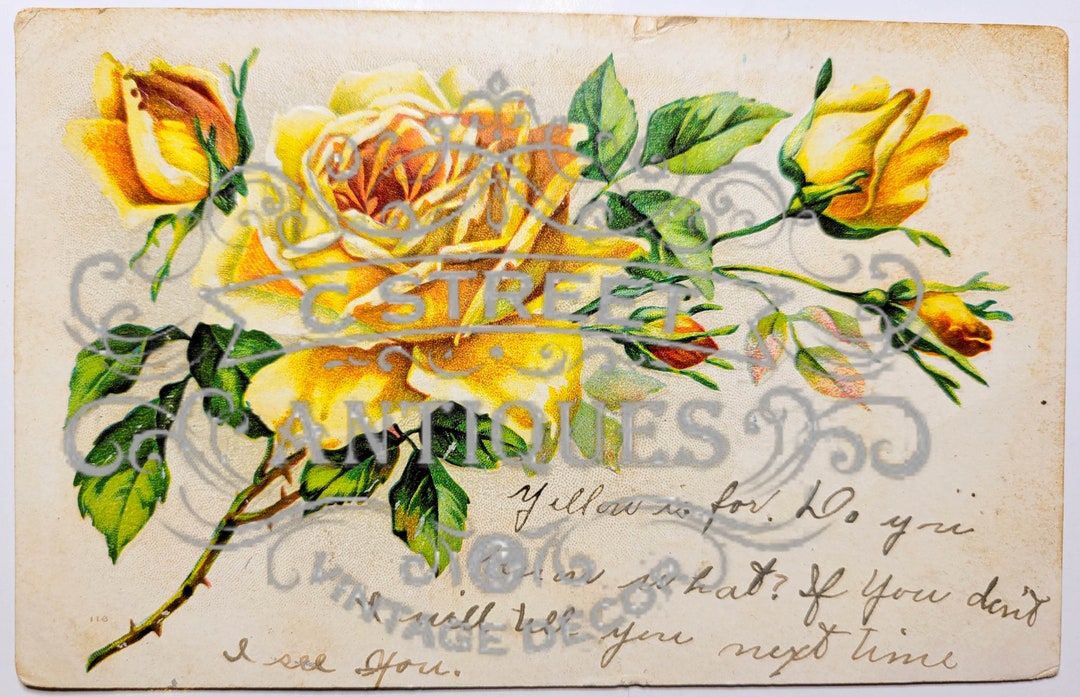 Flower Vintage Post Card, Digital File, Postcard, Antique, Graphic ...
