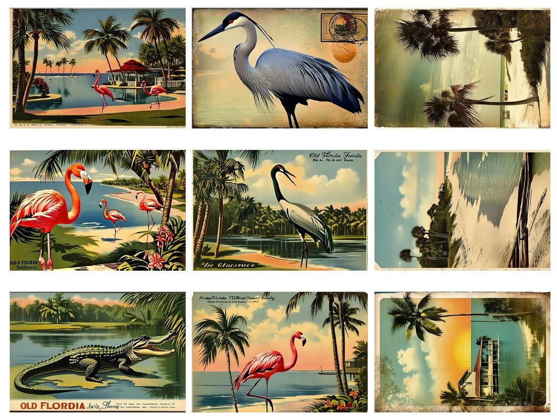 Digital Kit Old Florida Ephemera Instant Download Vintage Florida Art ...