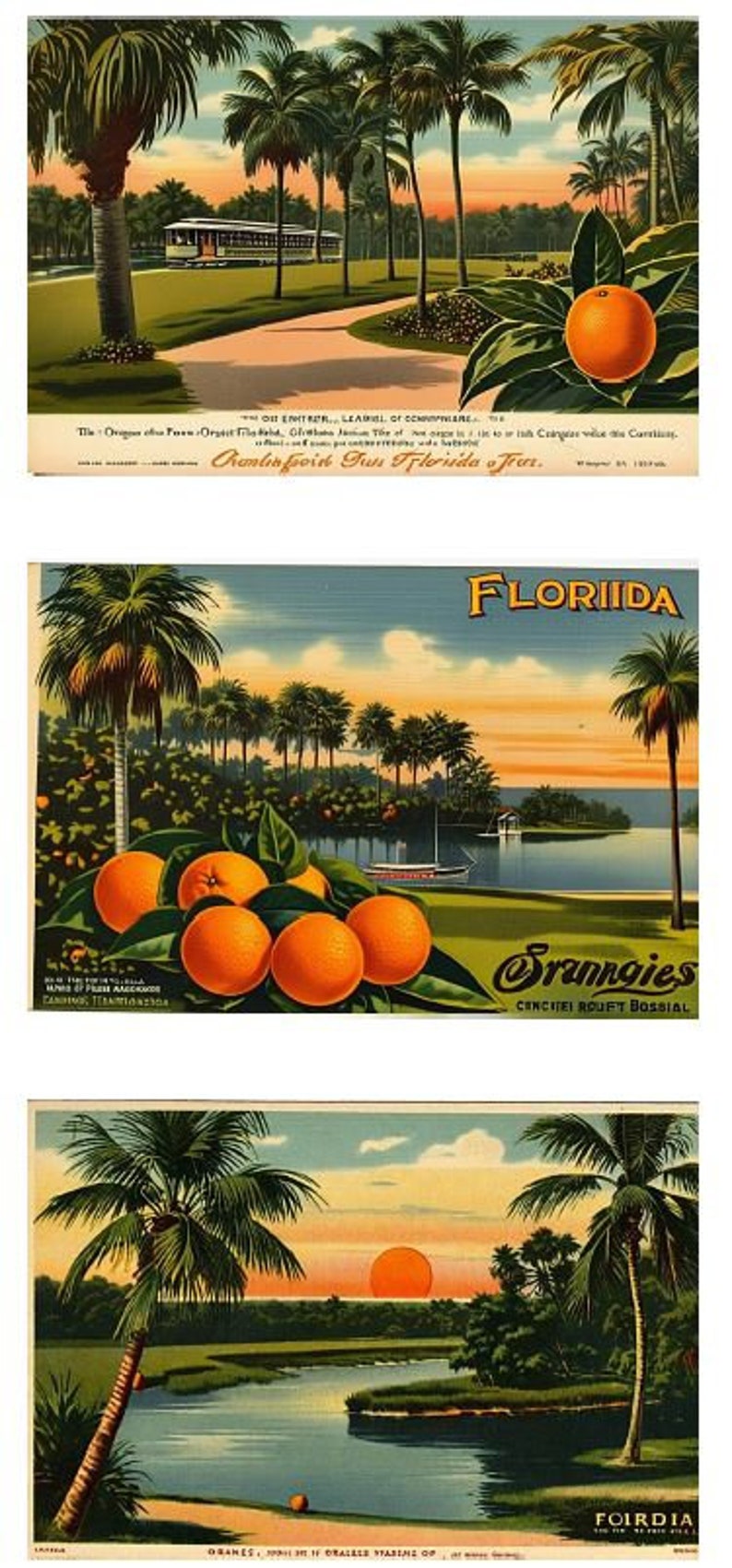 Digital Kit Old Florida Ephemera Instant Download Vintage Florida Art ...