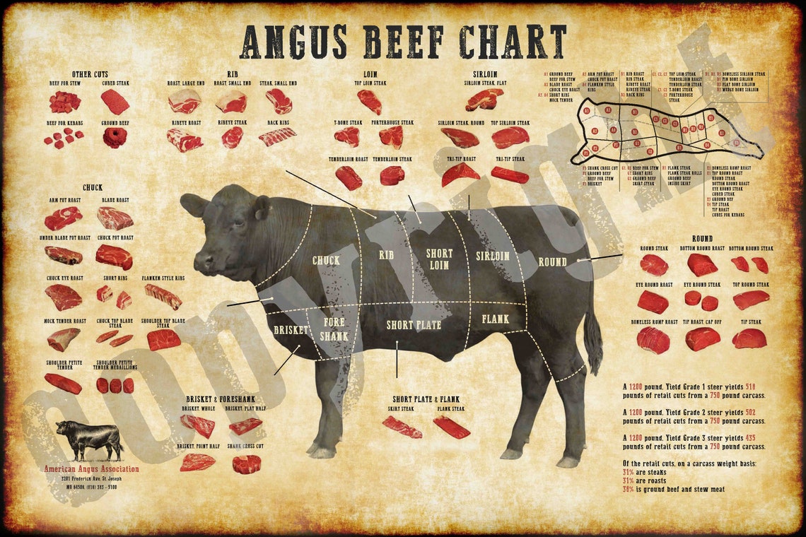 Angus Beef Chart Cuts Diagram Western Style - Etsy