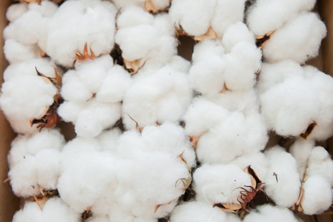 25 High Quality 1 NC Cotton Bolls Cotton Balls - Etsy