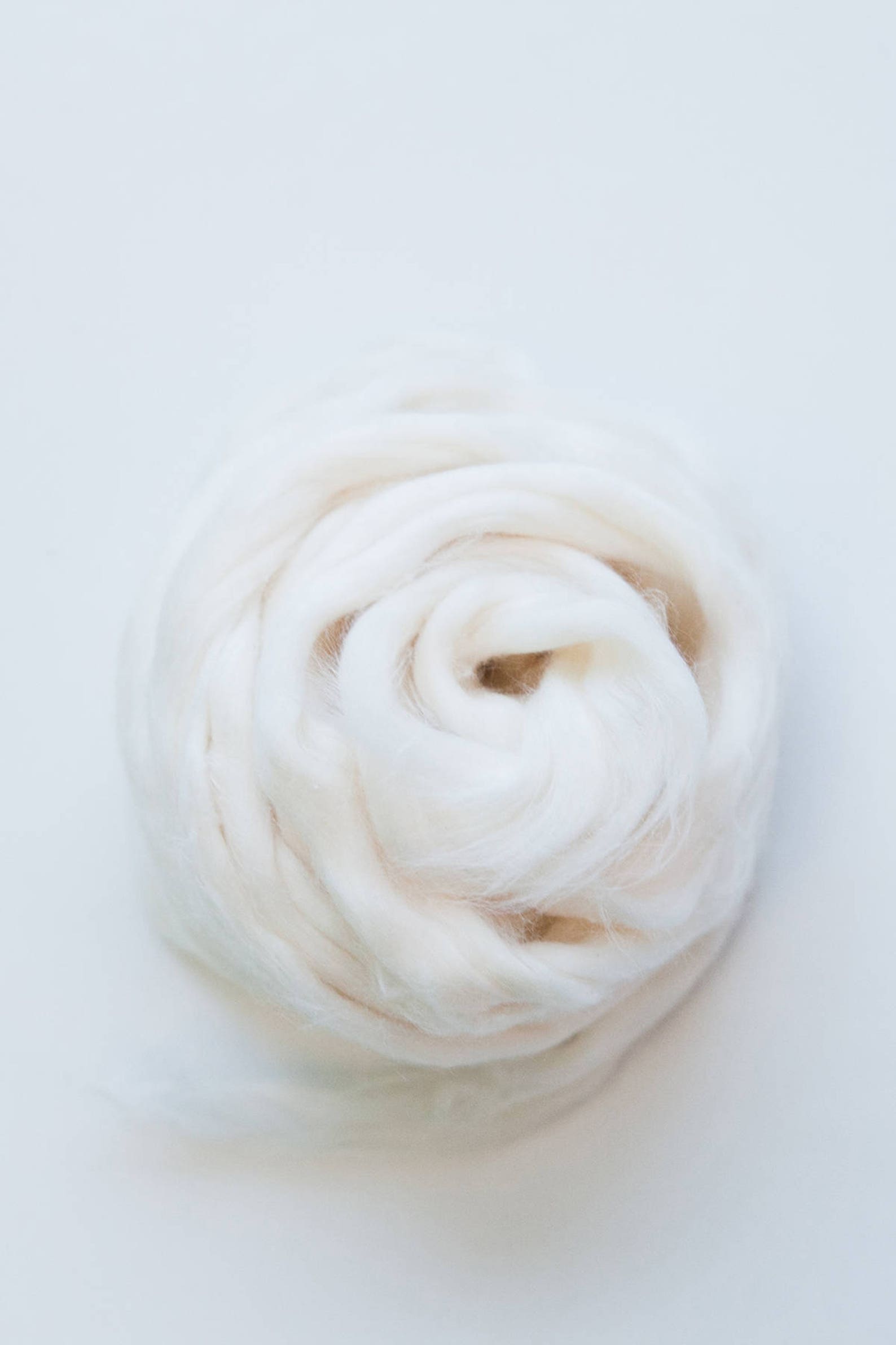 1 lb. Raw Organic Cotton sliver roving spinning | Etsy