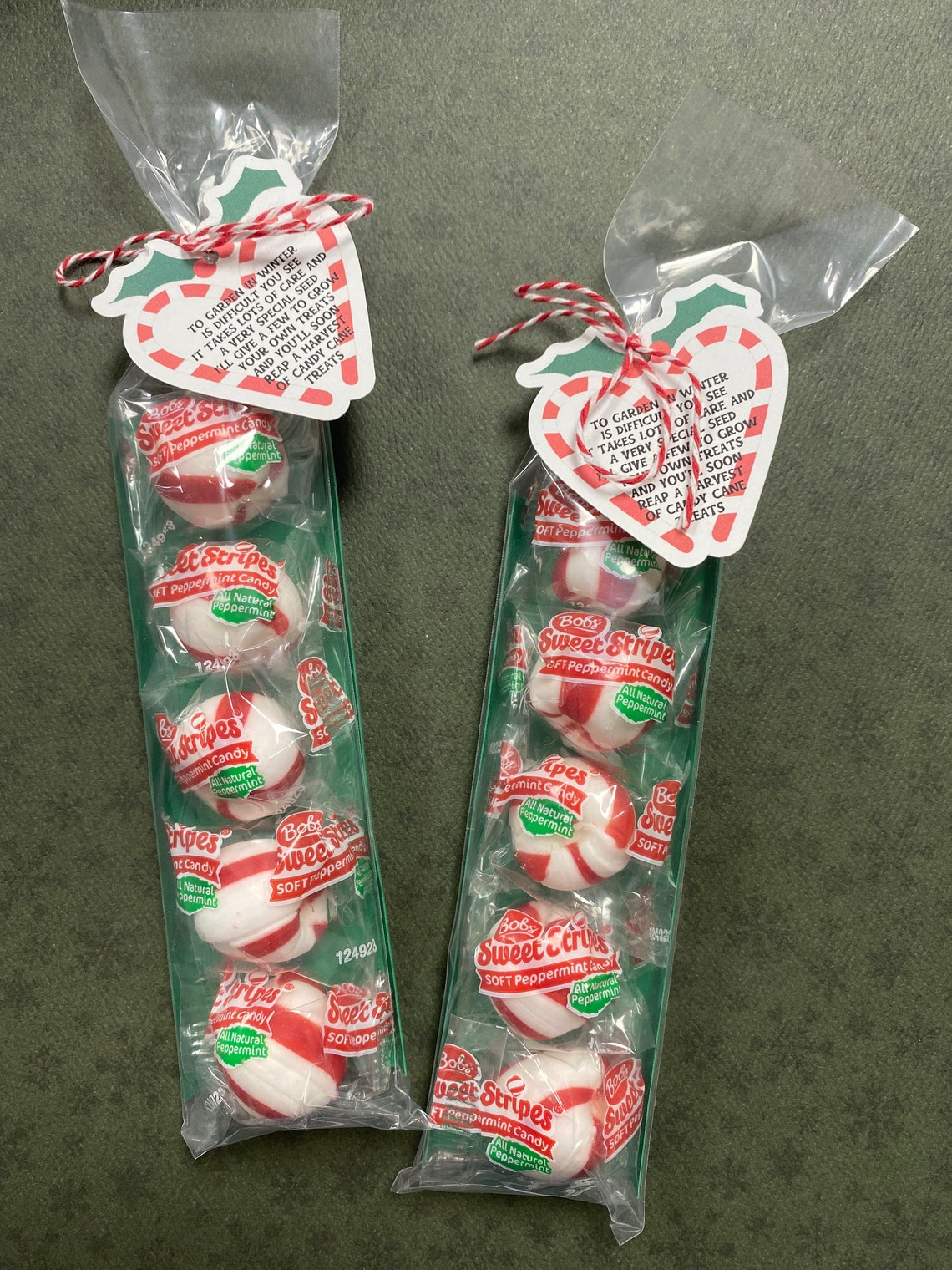 Candy Cane Seeds - Etsy