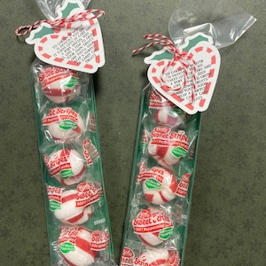 Candy Cane Seeds - Etsy